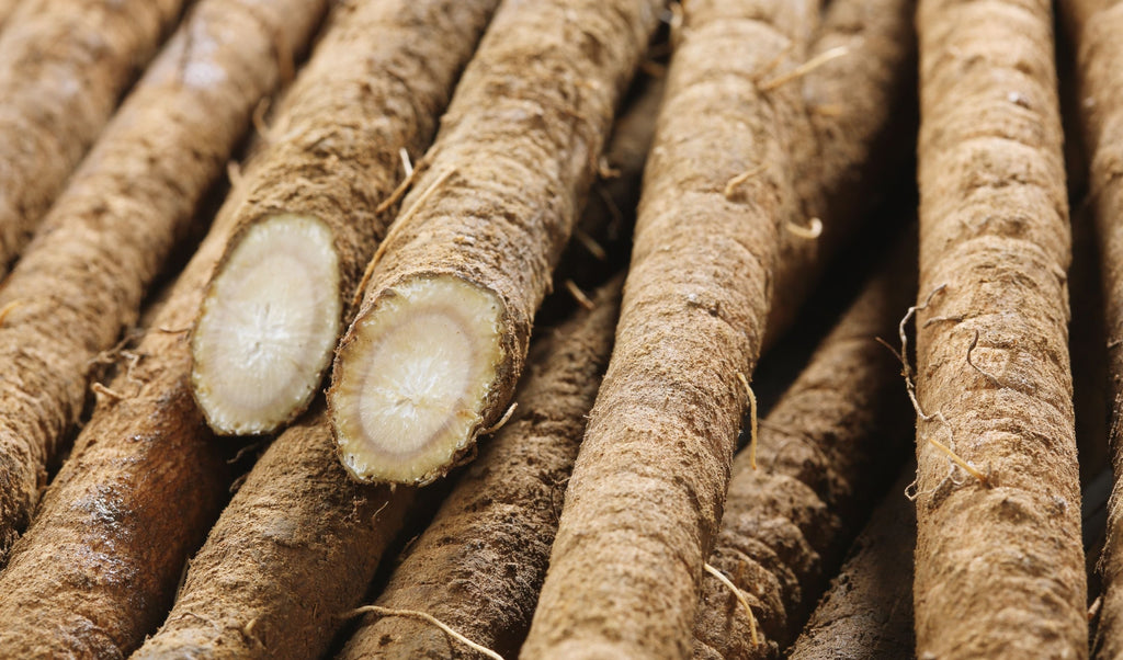 Bardane benefits: anti-inflammatory and natural beauty